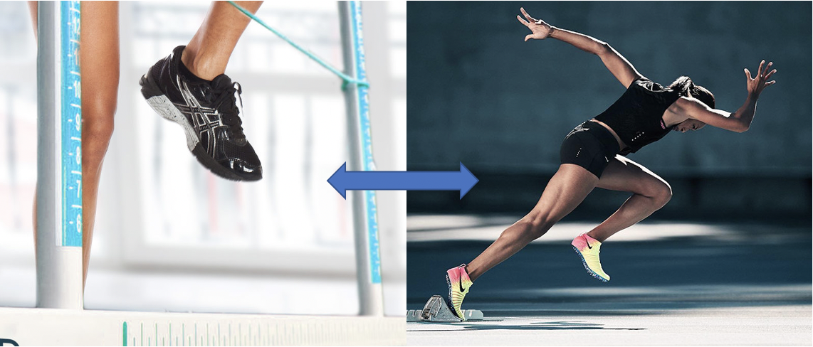The Missing Component in Movement Screens – Peak Performance Platform